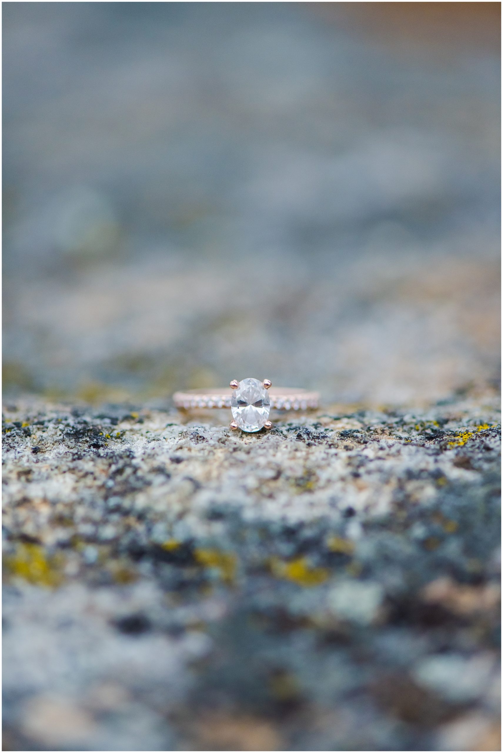 Luciana & Colin Skyline Drive Fall Engagement Session - Arika Jordan ...